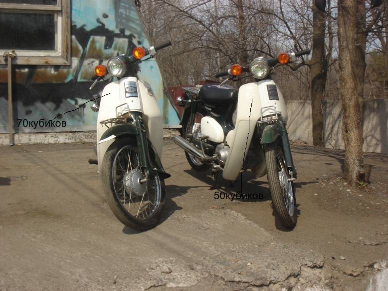 1999 Honda SUPER CUB 50 CUSTOM specs, Engine size 50cm3